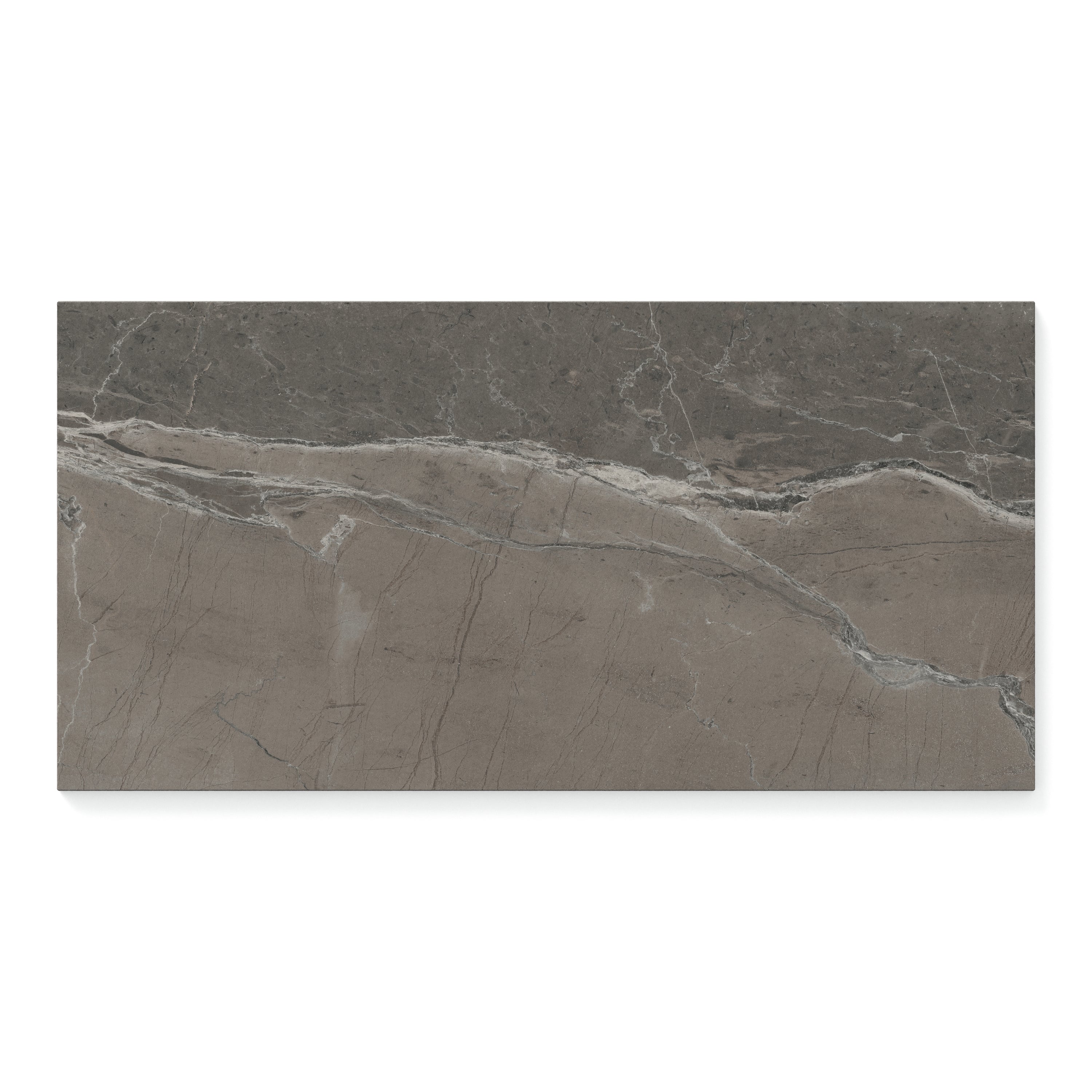 Declan 12 x 24 Matte Porcelain Tile in Brown