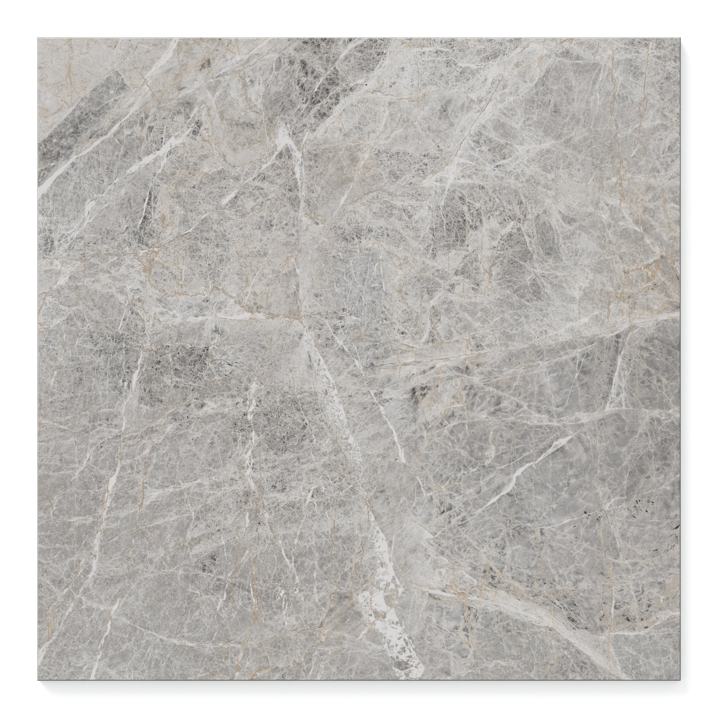 Chantel 24x24 Matte Porcelain Tile in Imperial