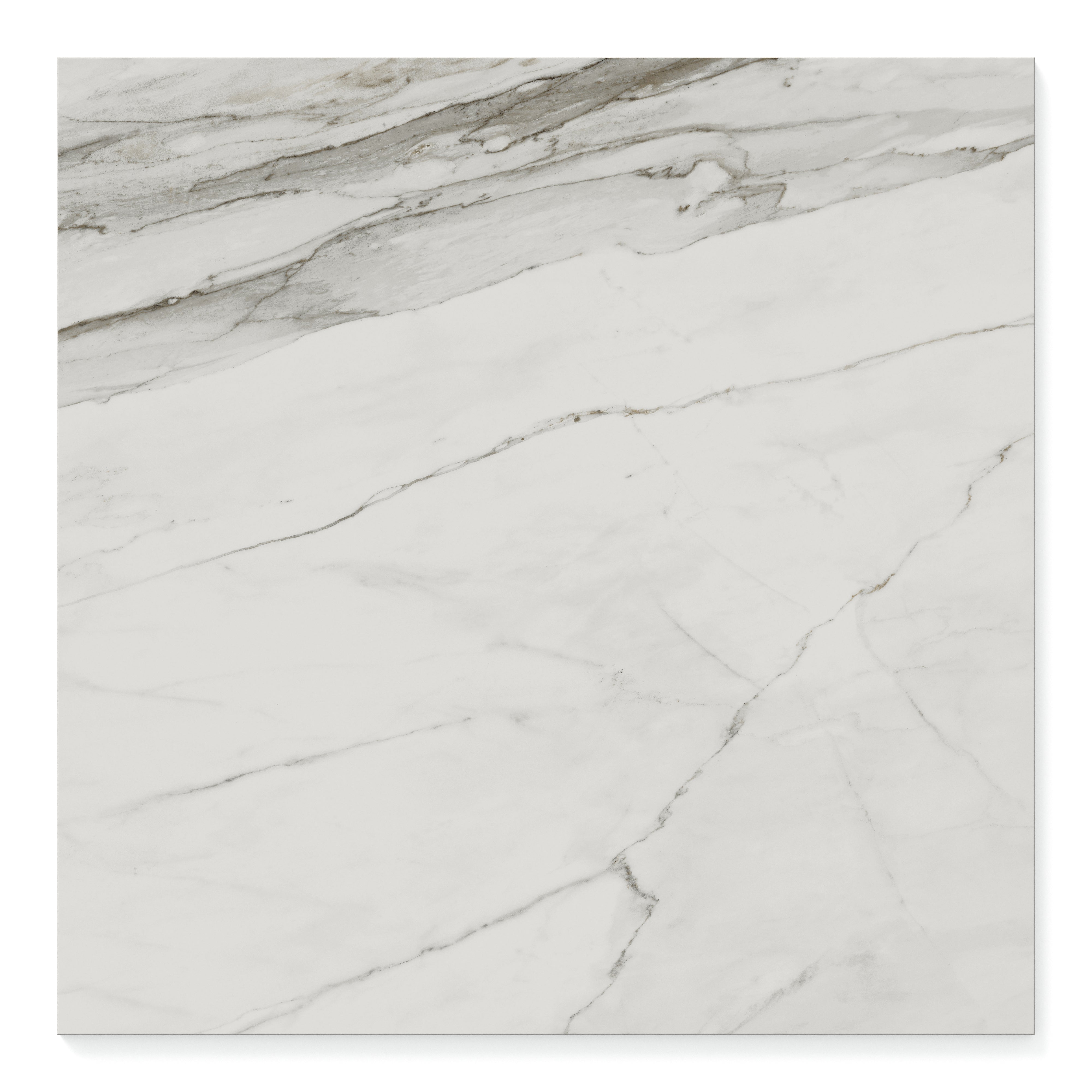 Chantel 24x24 Polished Porcelain Tile in Apuano
