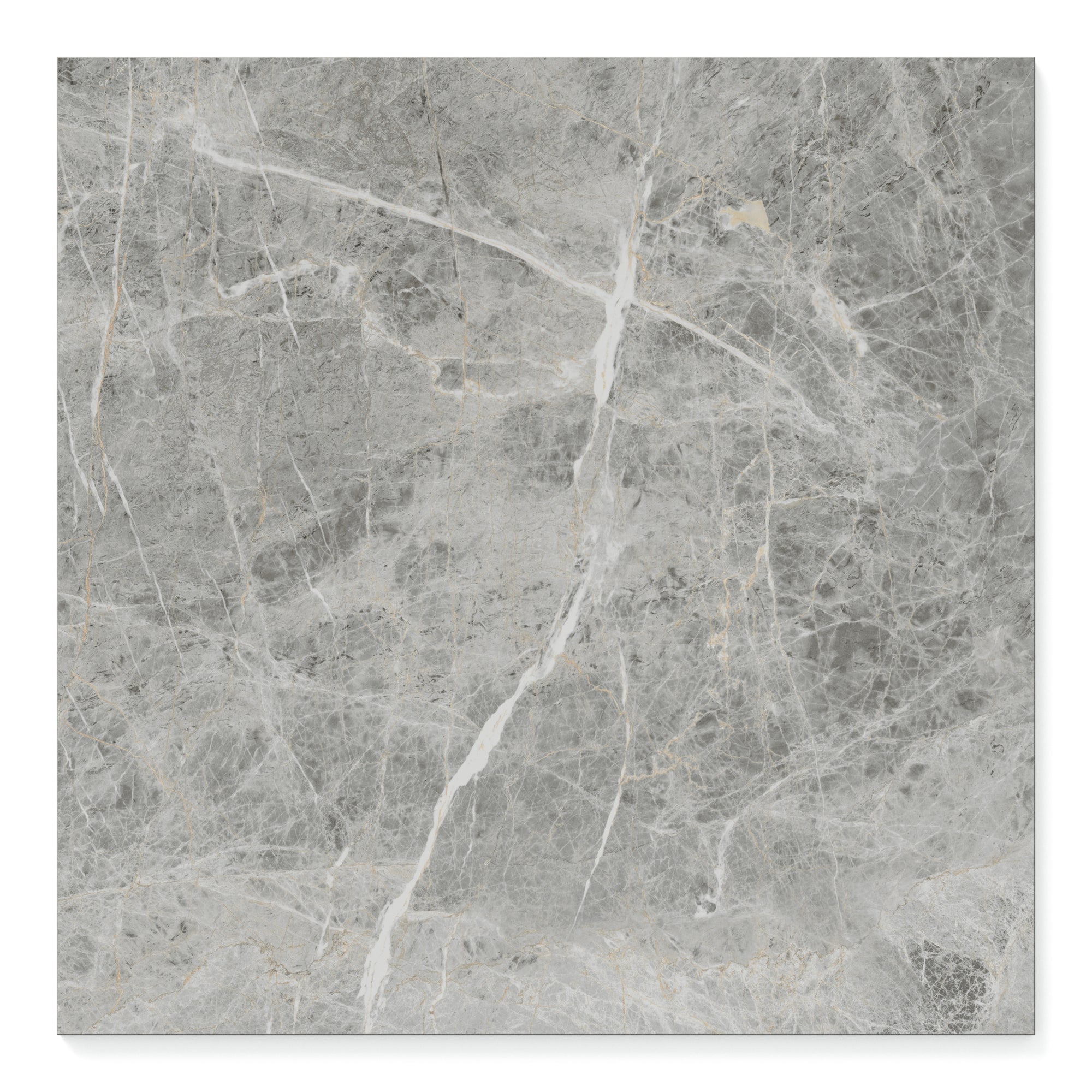 Chantel 24x24 Polished Porcelain Tile in Imperial