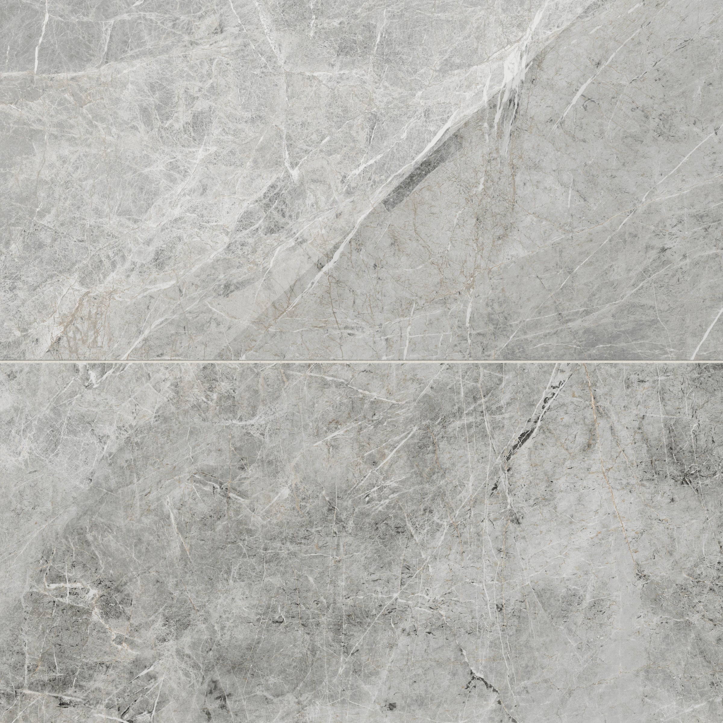 Chantel 24x48 Polished Porcelain Tile in Imperial