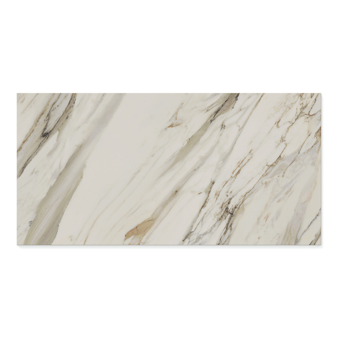 Aniston 24x48 Matte Porcelain Tile in Calacatta Cremo