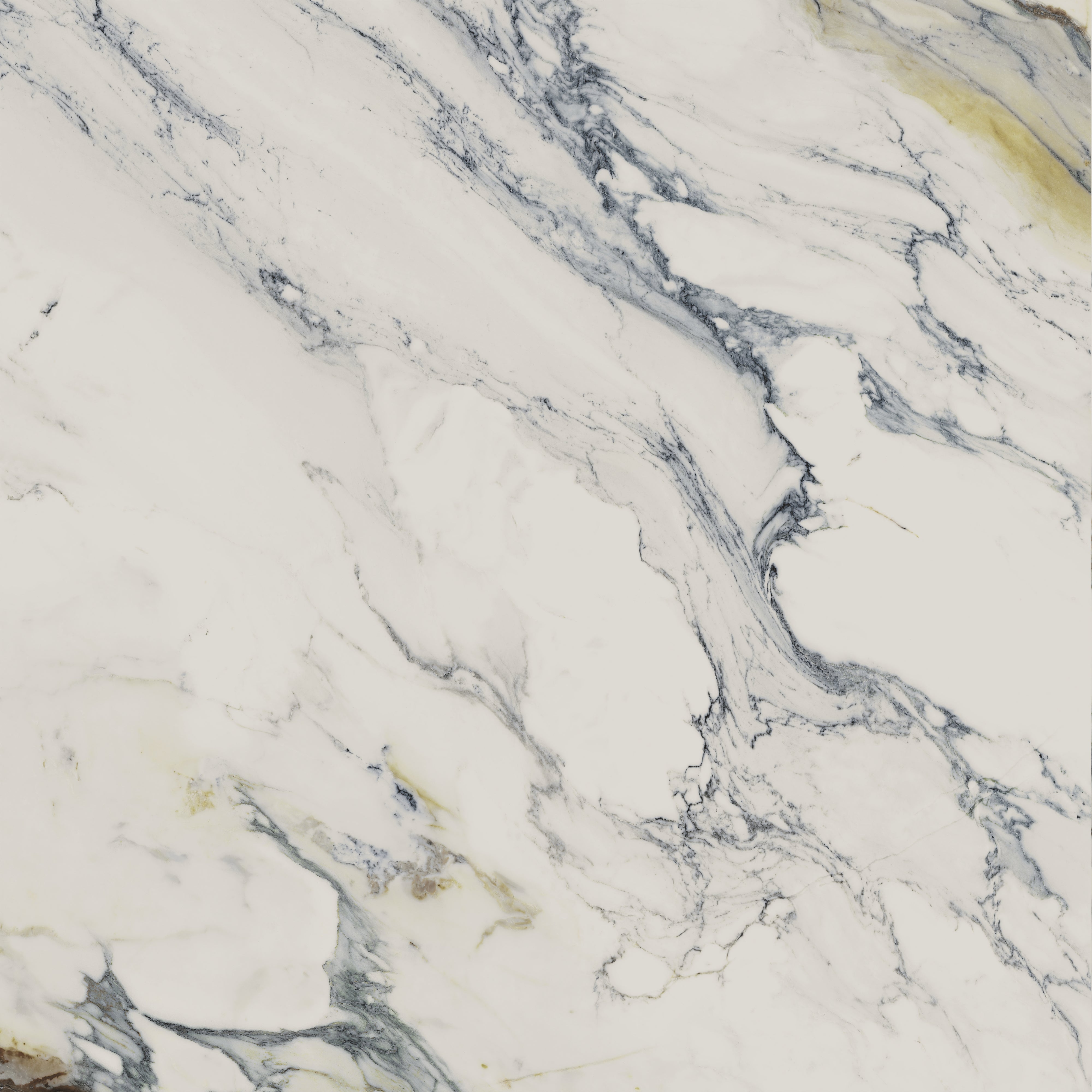 Aniston: Marble-Look Porcelain Tiles | Elite Floor & Wall Selections
