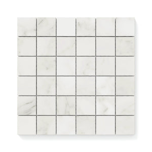 Aniston 2x2 Matte Porcelain Mosaic Tile in Carrara Bianco
