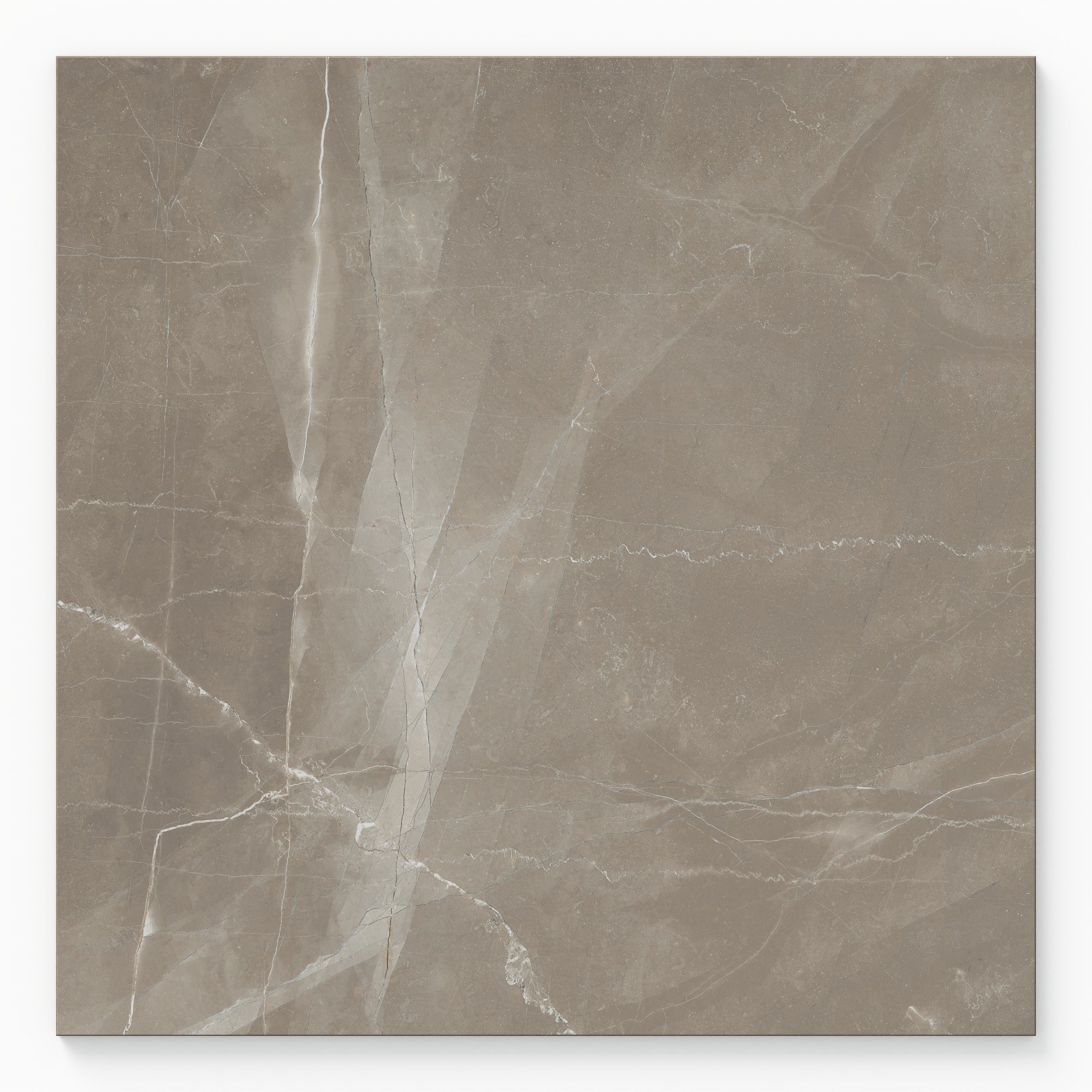 Leona 24x24 Polished Porcelain Tile in Amani Bronze