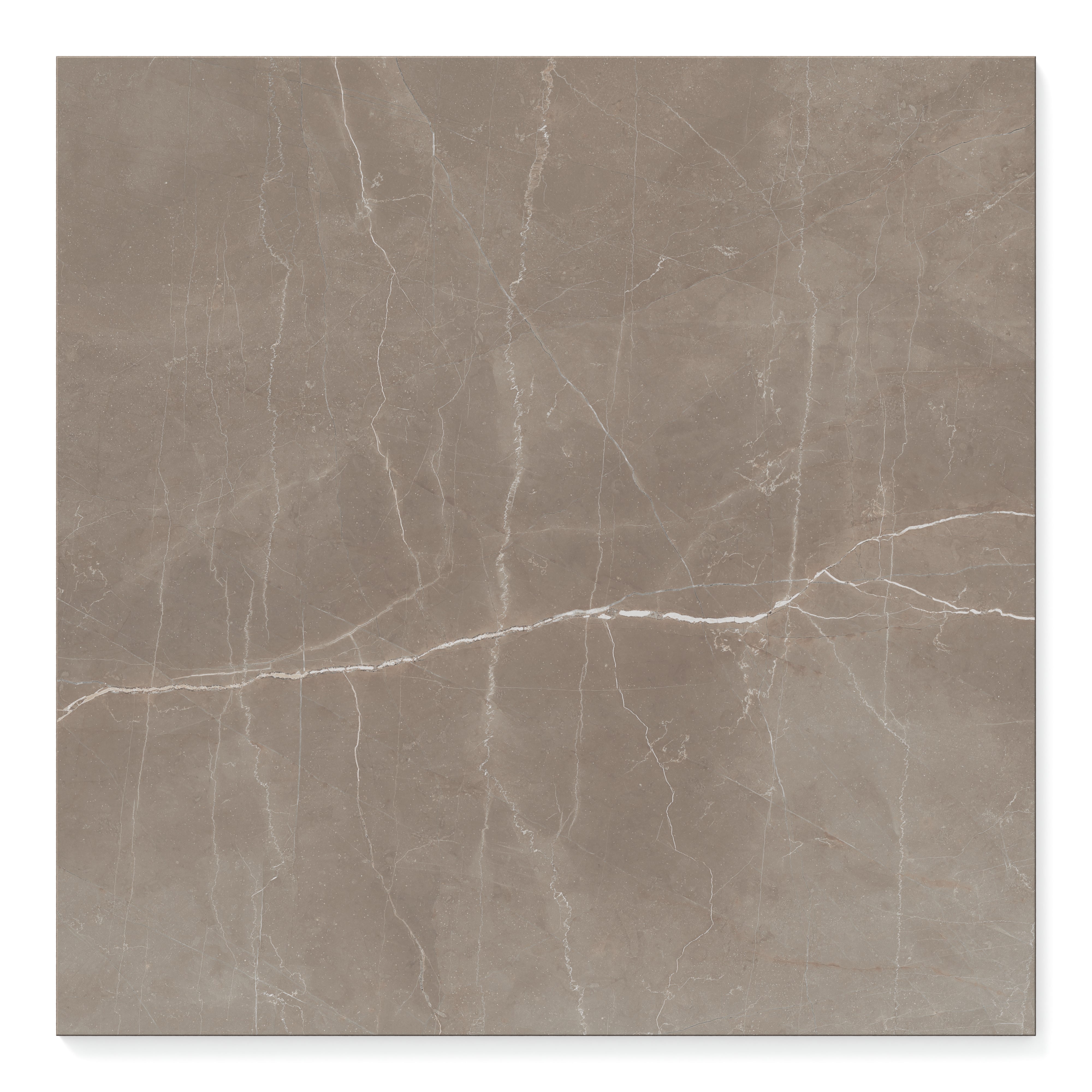 Leona 24x24 Polished Porcelain Tile in Amani Bronze