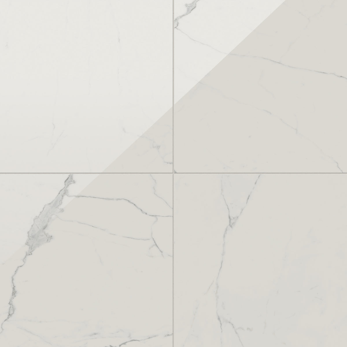 Leona 24x24 Polished Porcelain Tile in Calacatta