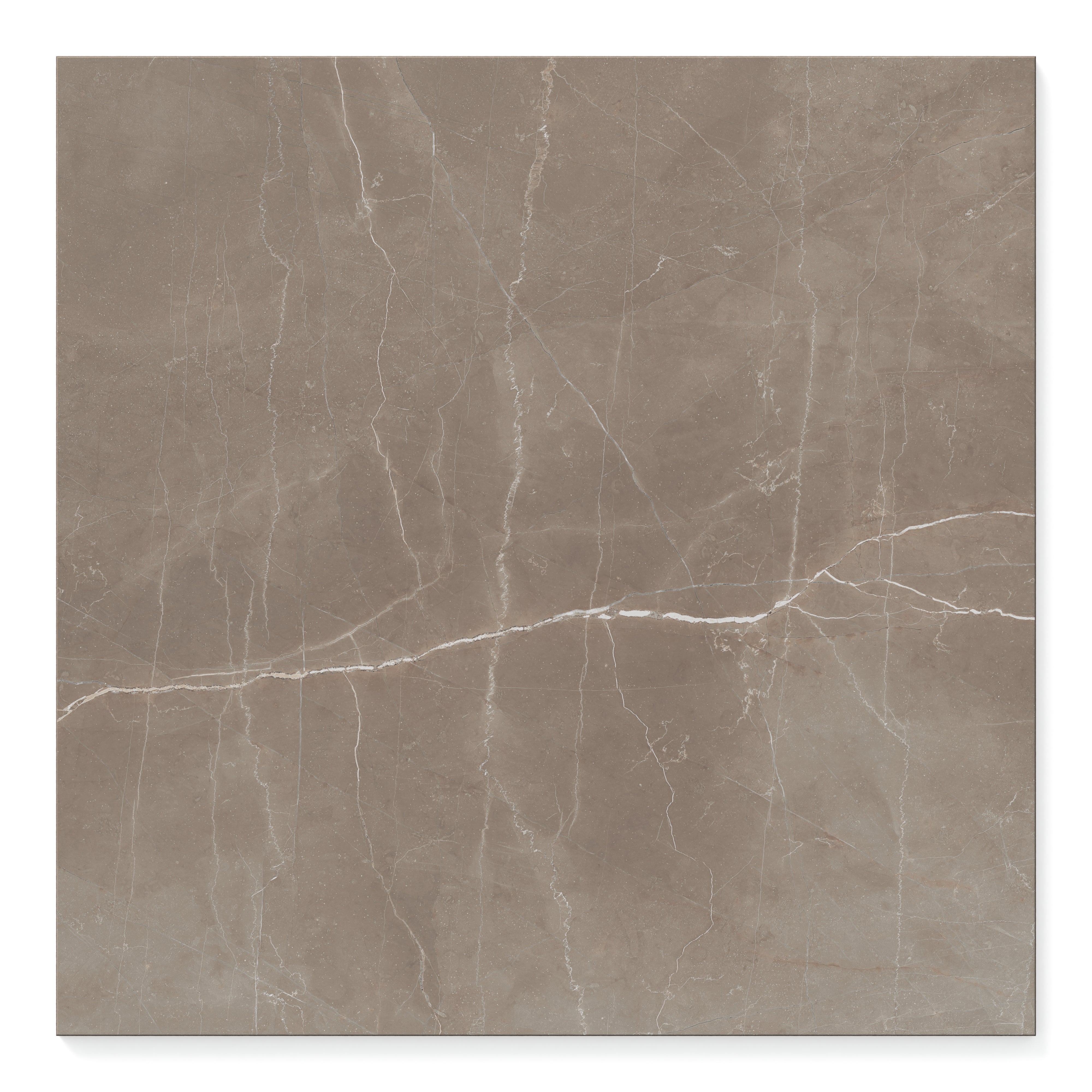 Leona 24x24 Matte Porcelain Tile in Amani Bronze