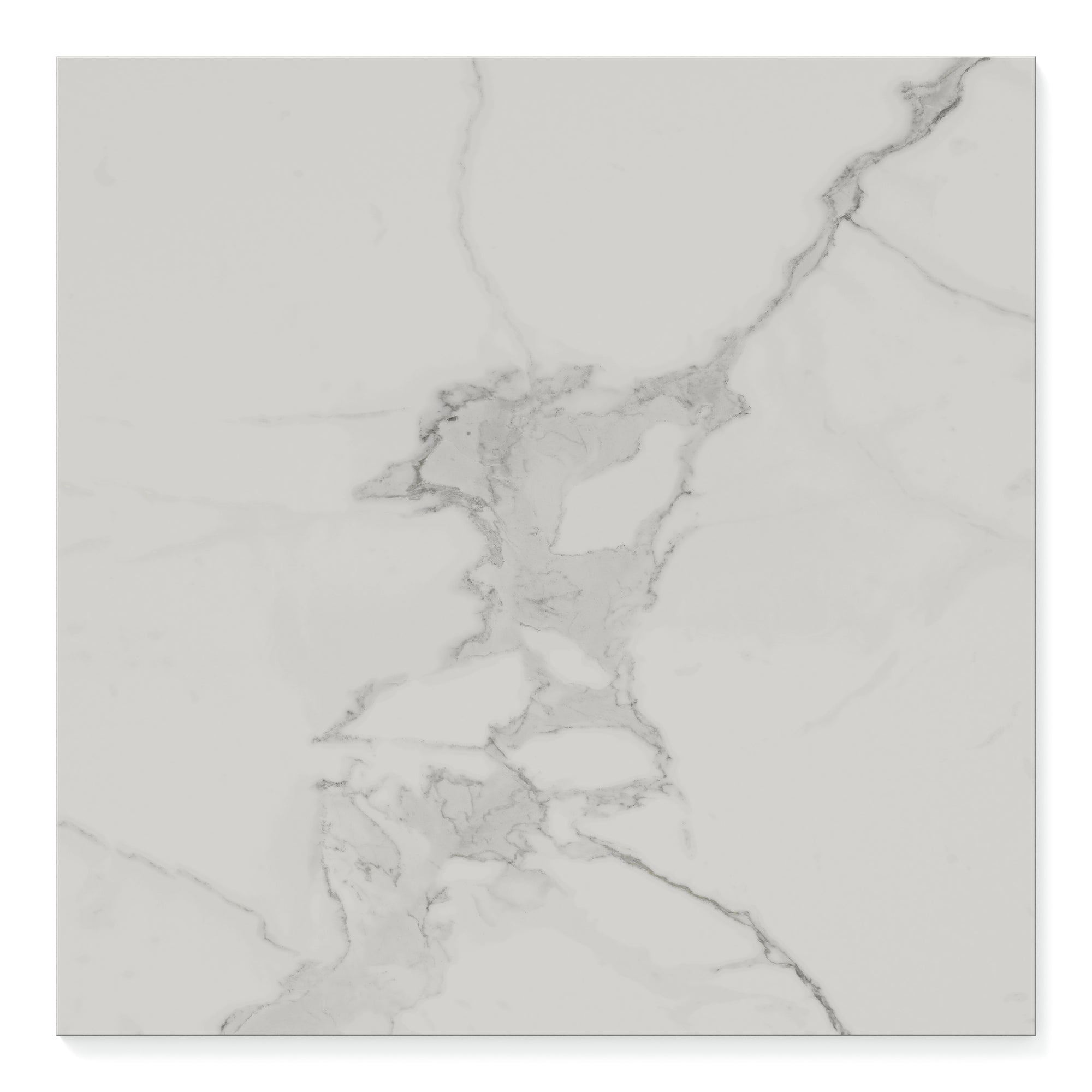 Leona 24x24 Matte Porcelain Tile in Calacatta