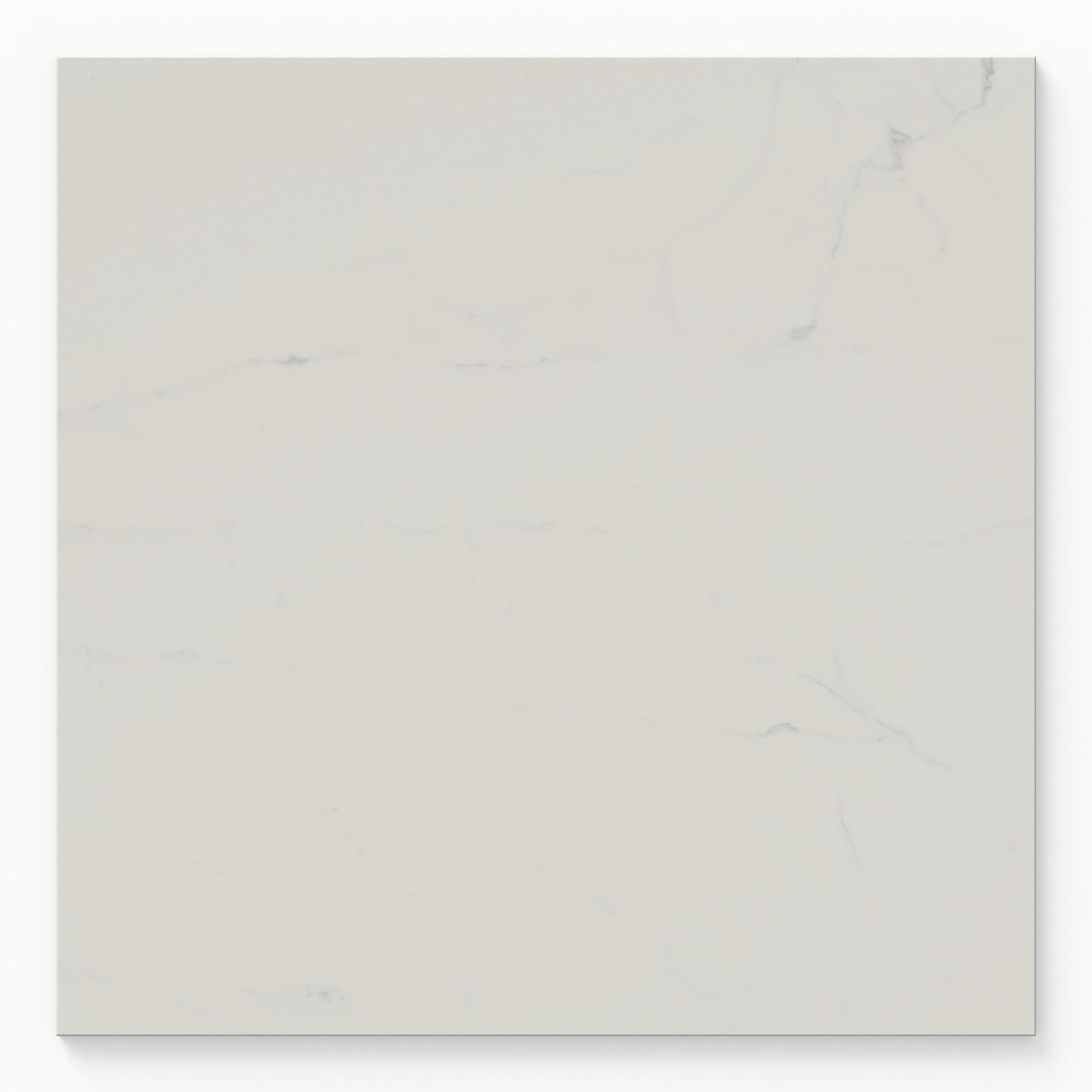 Leona 24x24 Matte Porcelain Tile in Calacatta