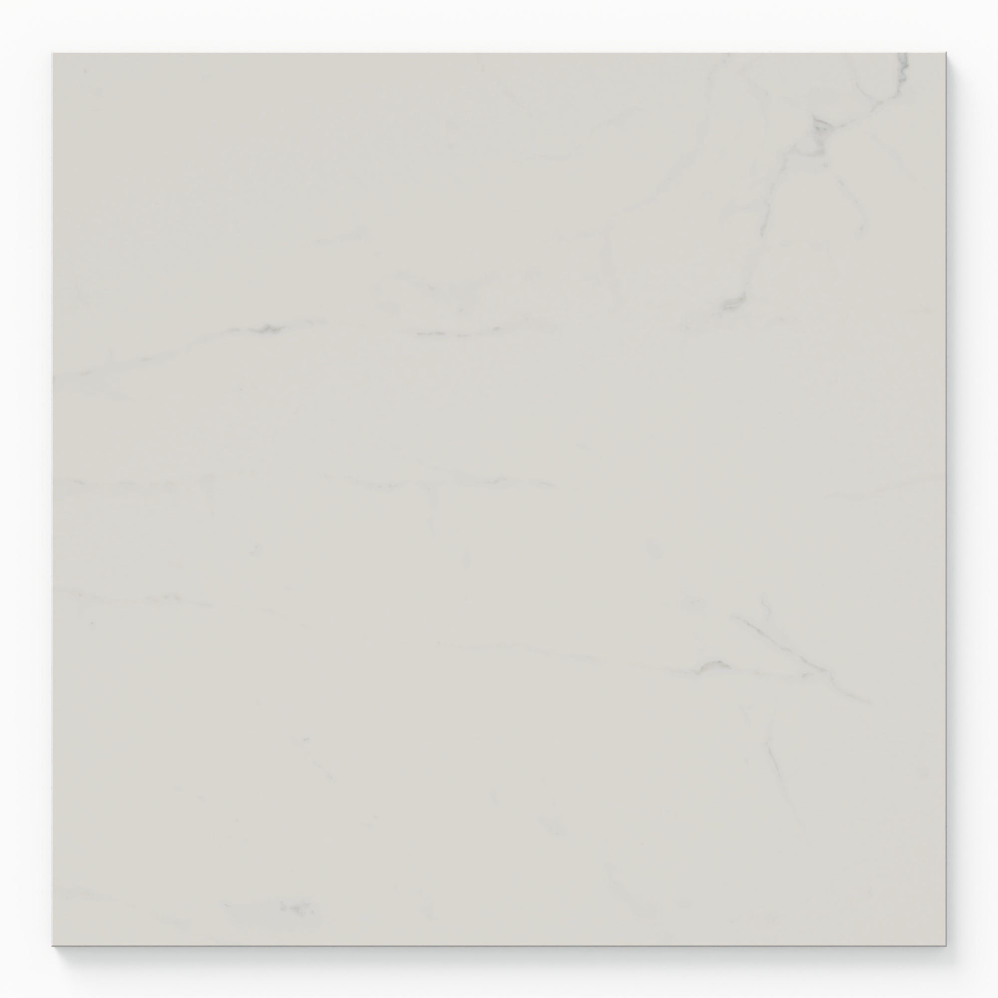 Leona 24x24 Matte Porcelain Tile in Calacatta