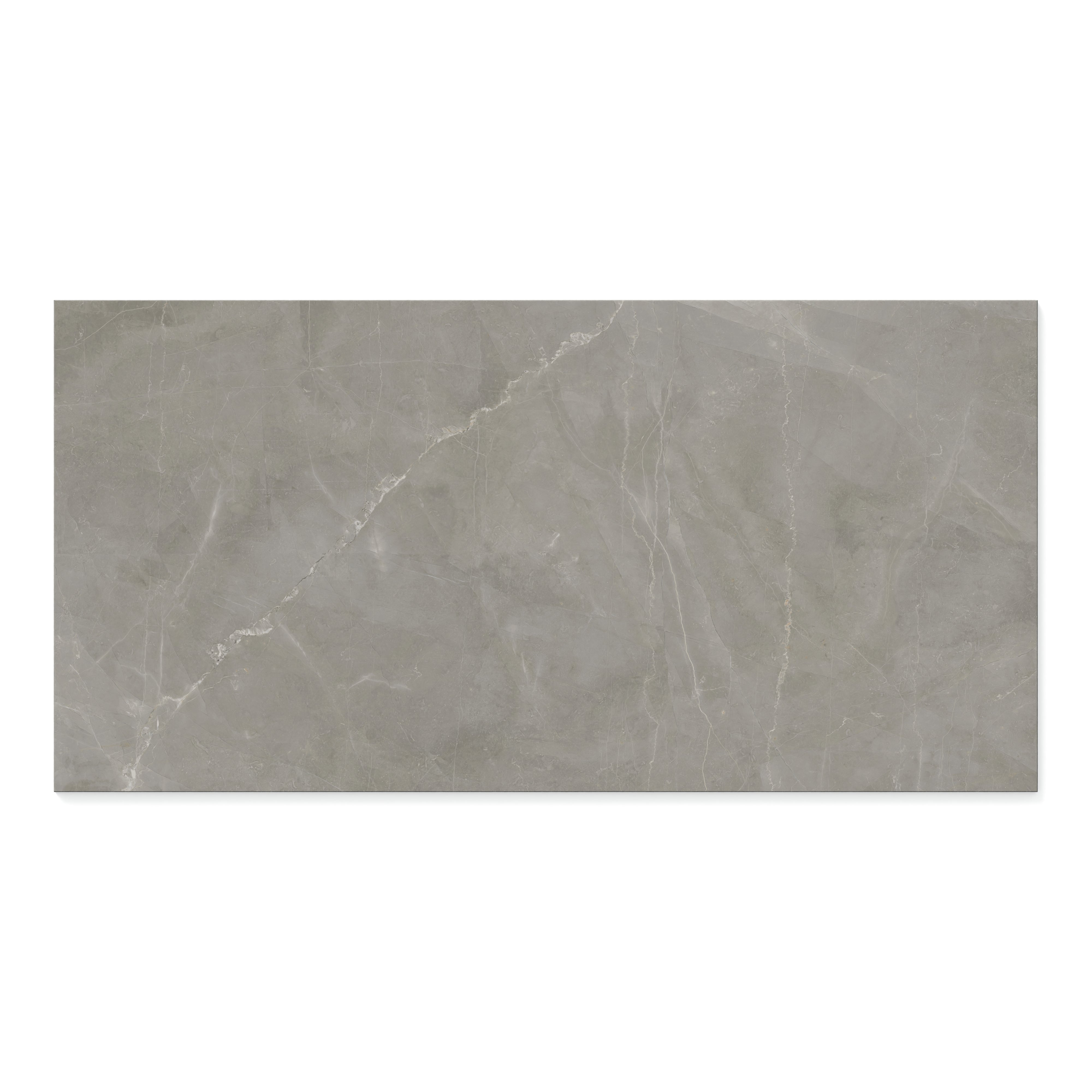 Leona 24x48 Matte Porcelain Tile In Amani Grey