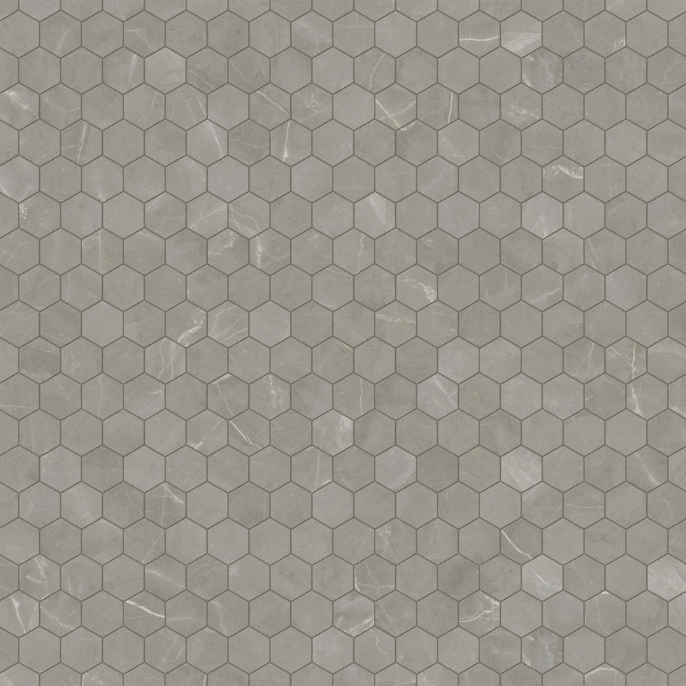Leona 3x3 Matte Porcelain Hexagon Mosaic Tile in Amani Grey