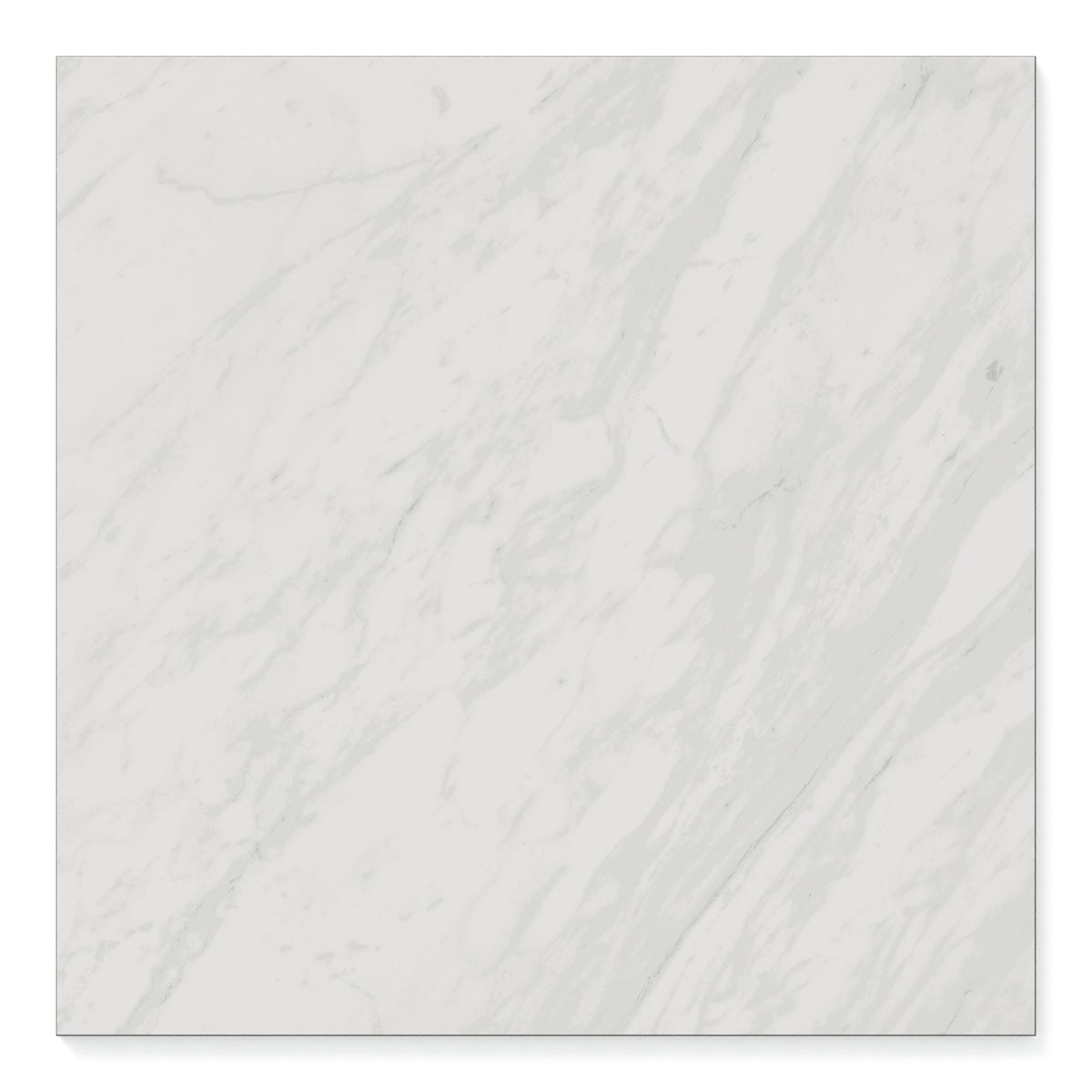 Blair 24x24 Matte Porcelain Tile in Volakas White