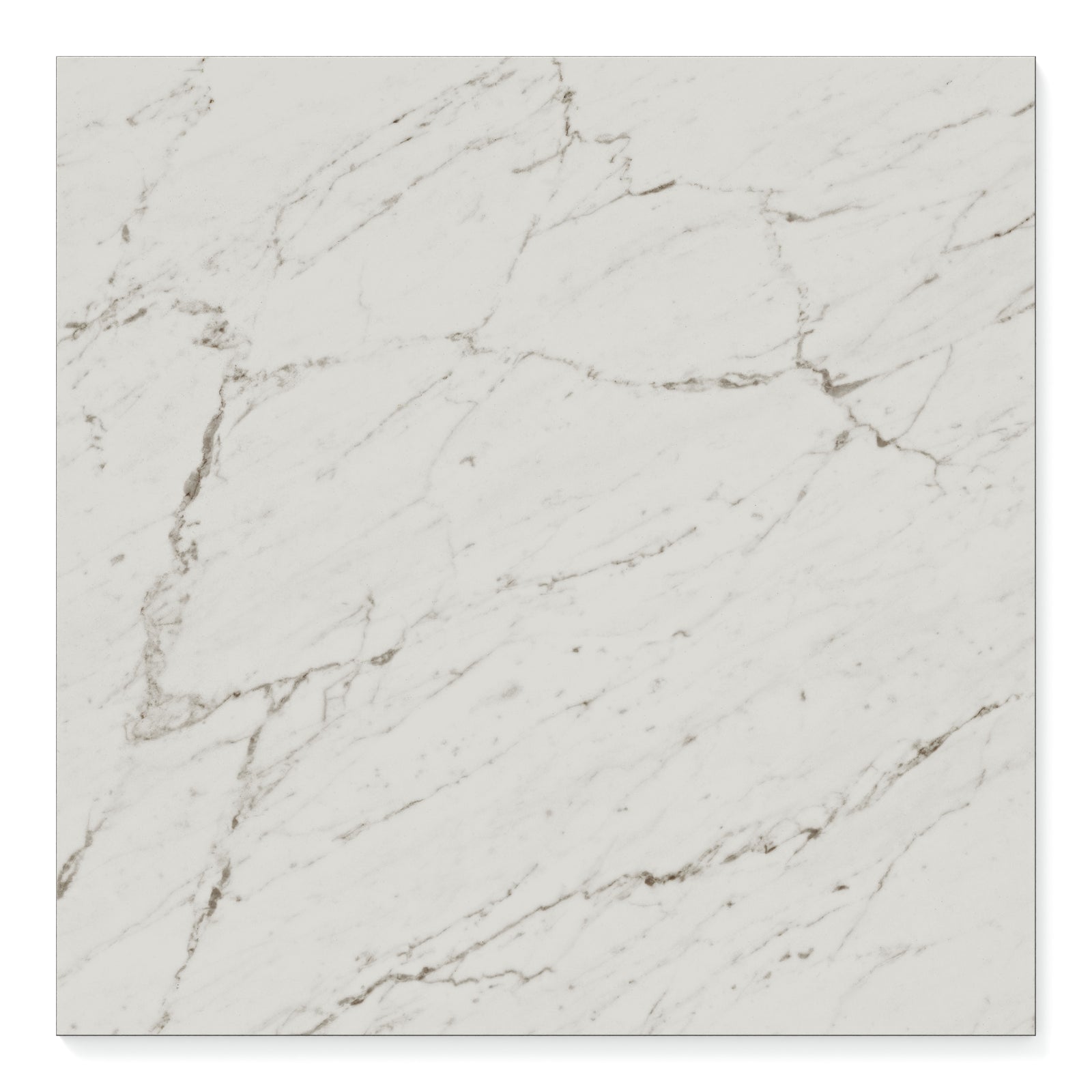 Blair 24x24 Polished Porcelain Tile in White Carrara