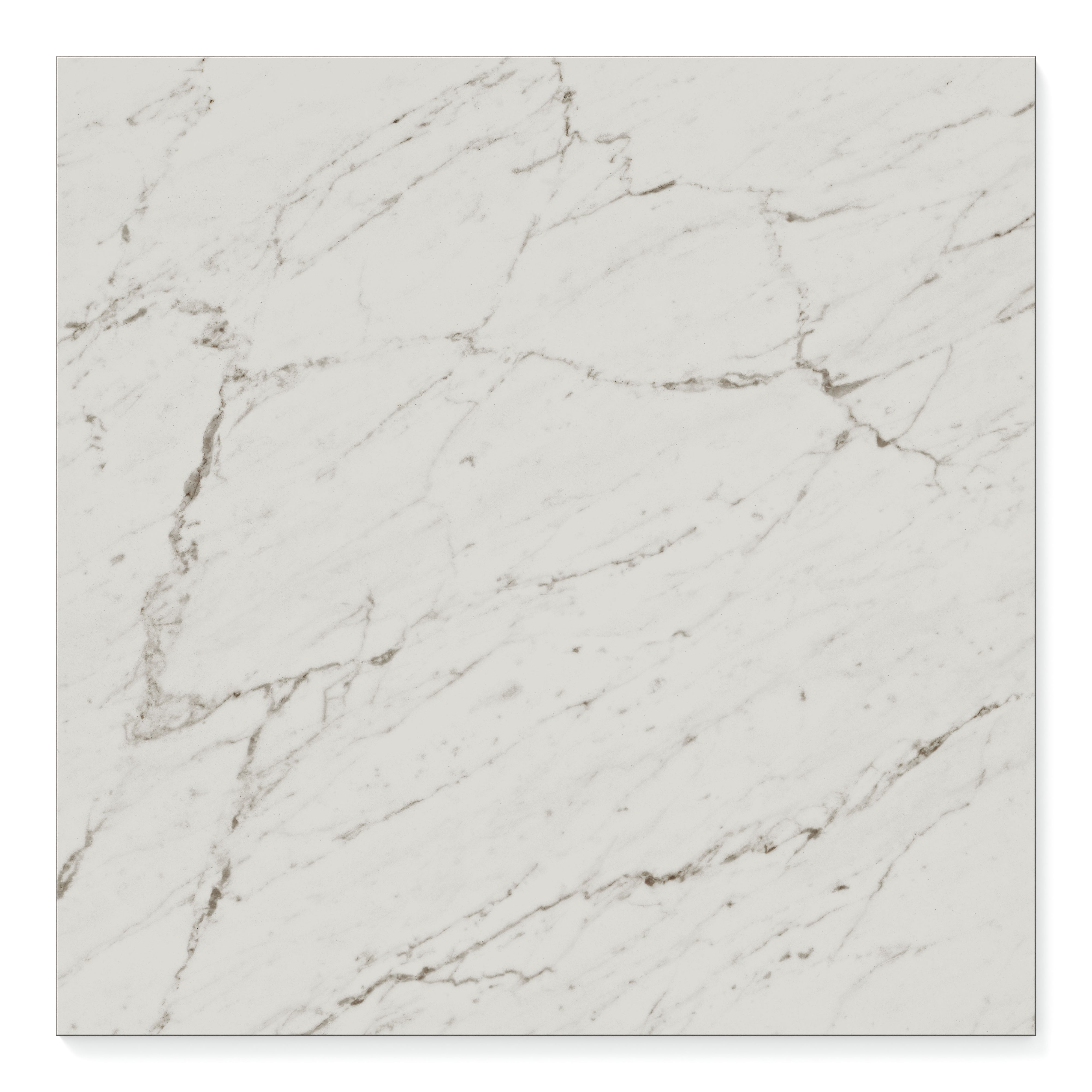 Blair 24x24 Polished Porcelain Tile in White Carrara
