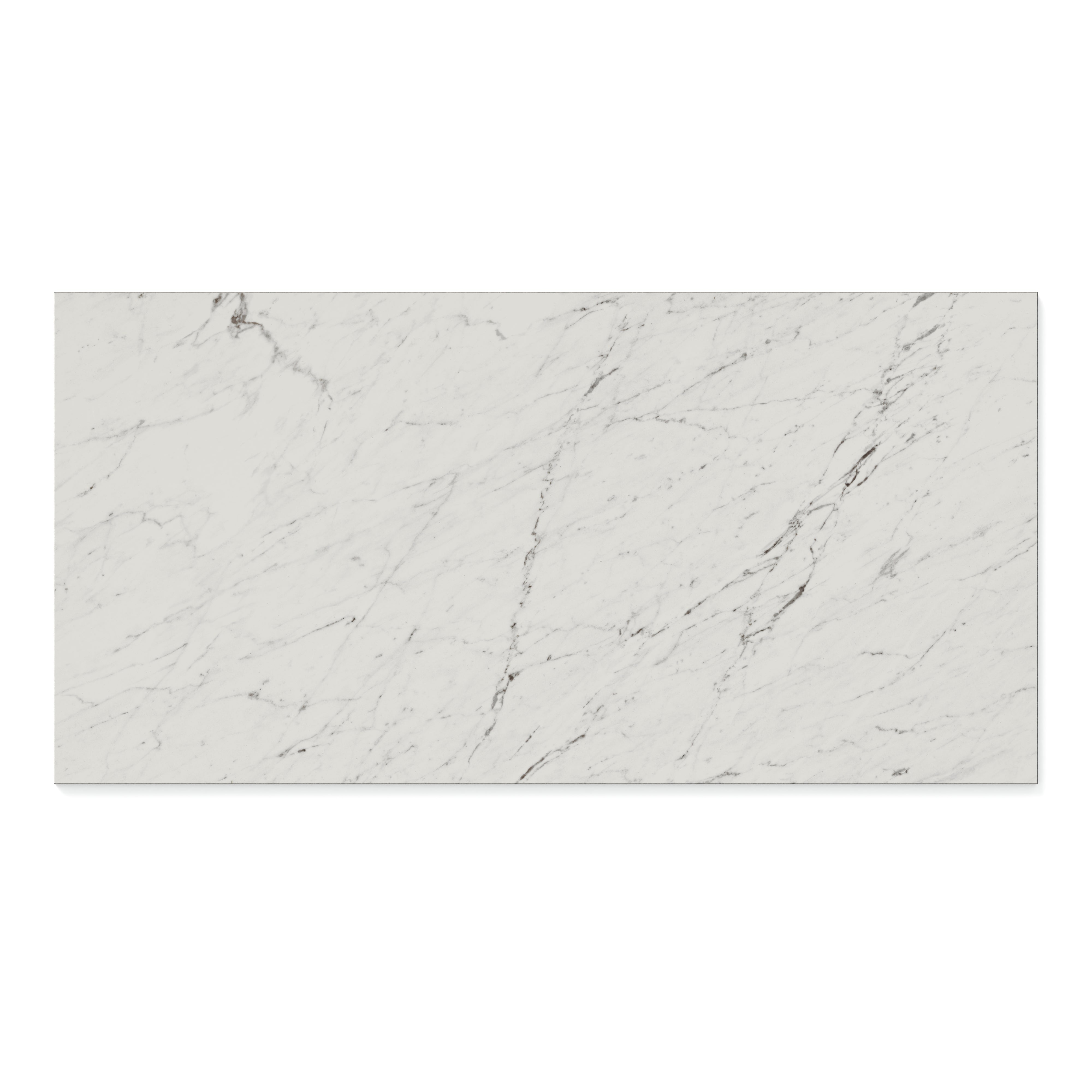 Blair 24x48 Matte Porcelain Tile in White Carrara
