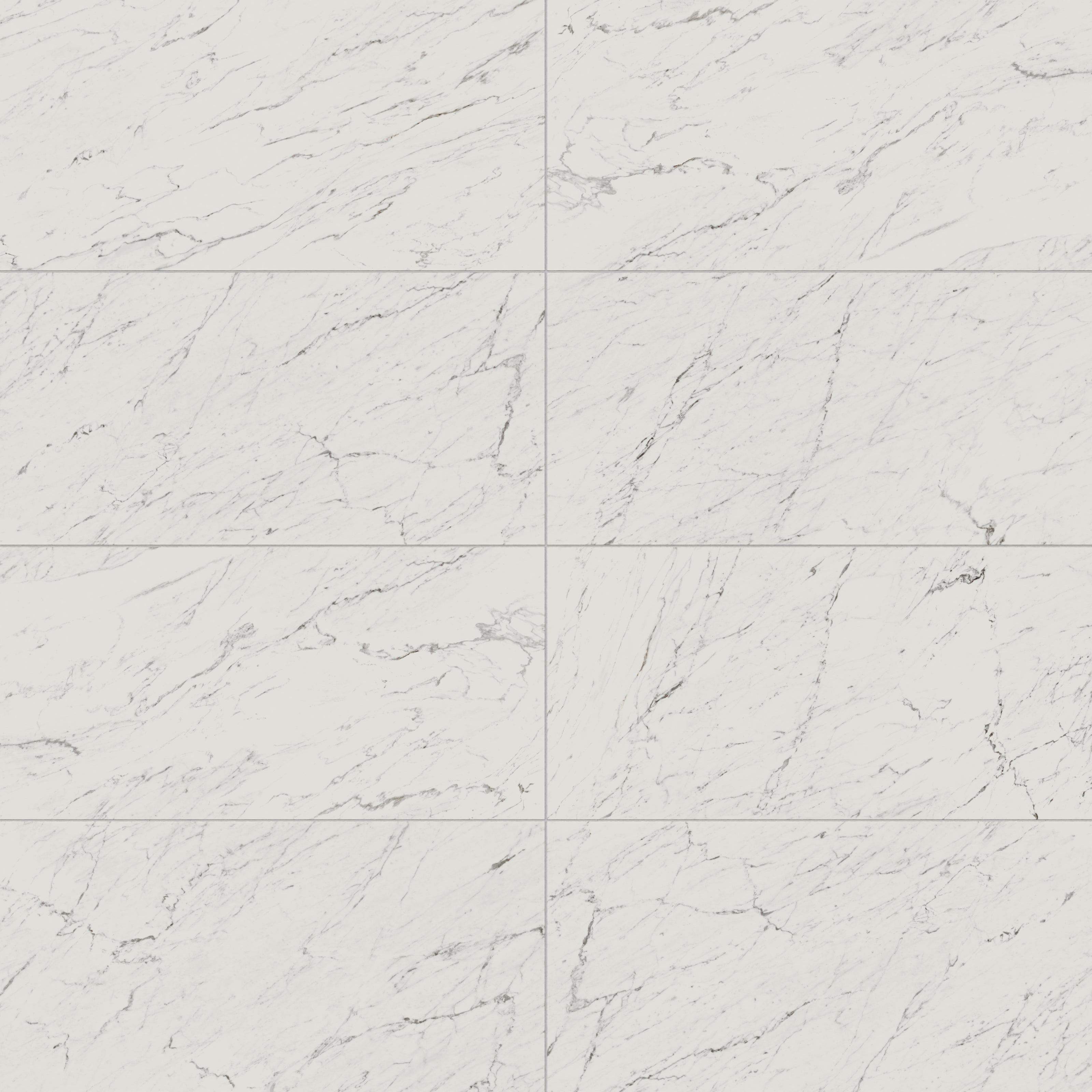 Blair 24x48 Matte Porcelain Tile in White Carrara