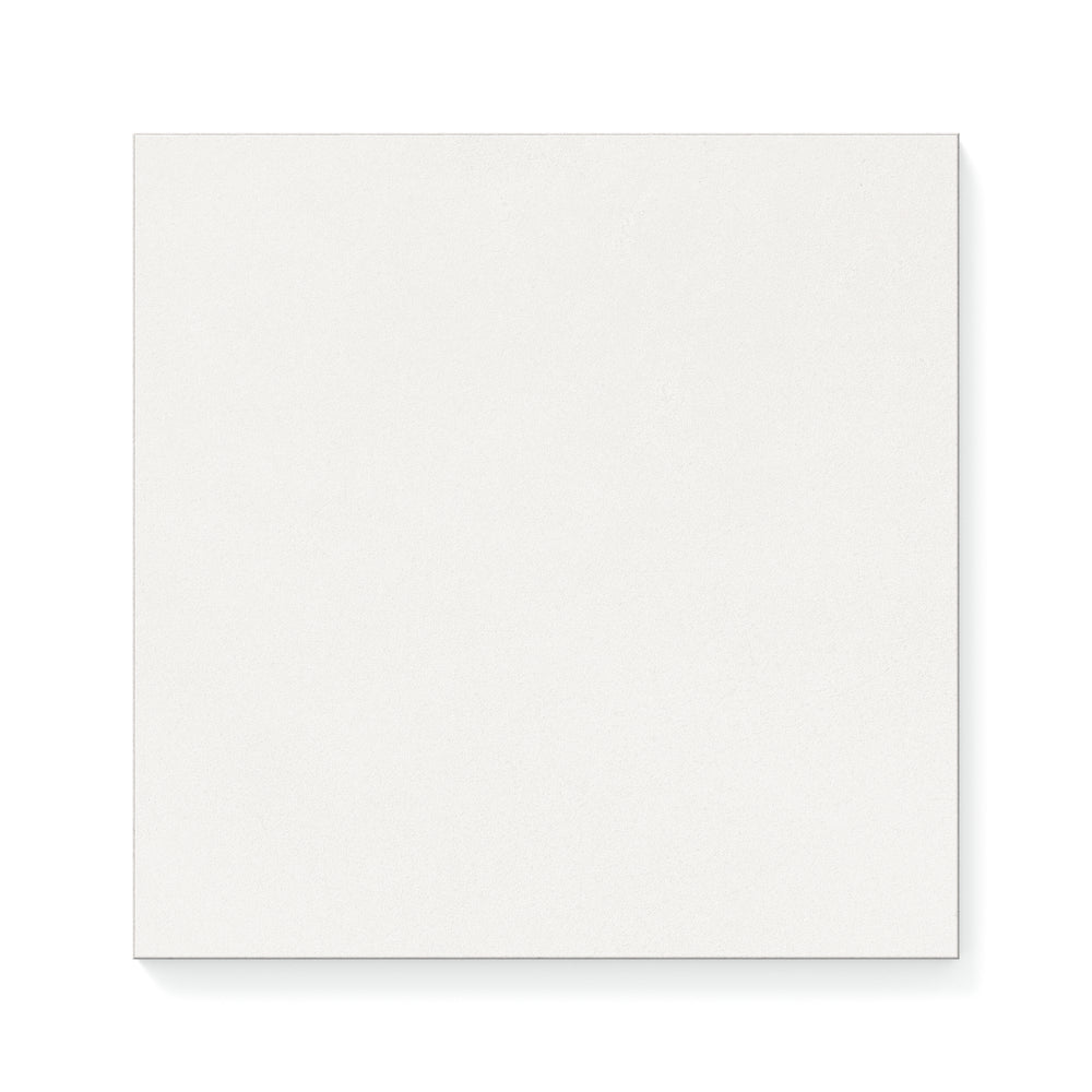 Palmer 12x12 Matte Porcelain Tile in White