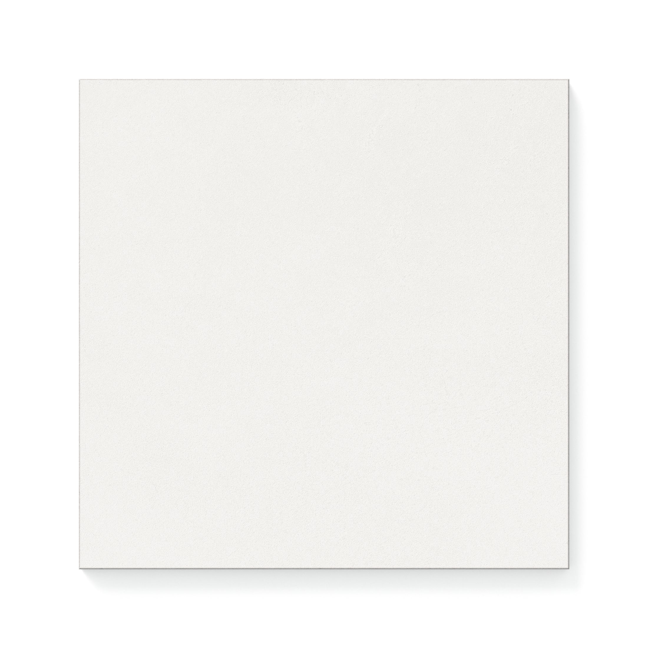 Palmer 12x12 Matte Porcelain Tile in White