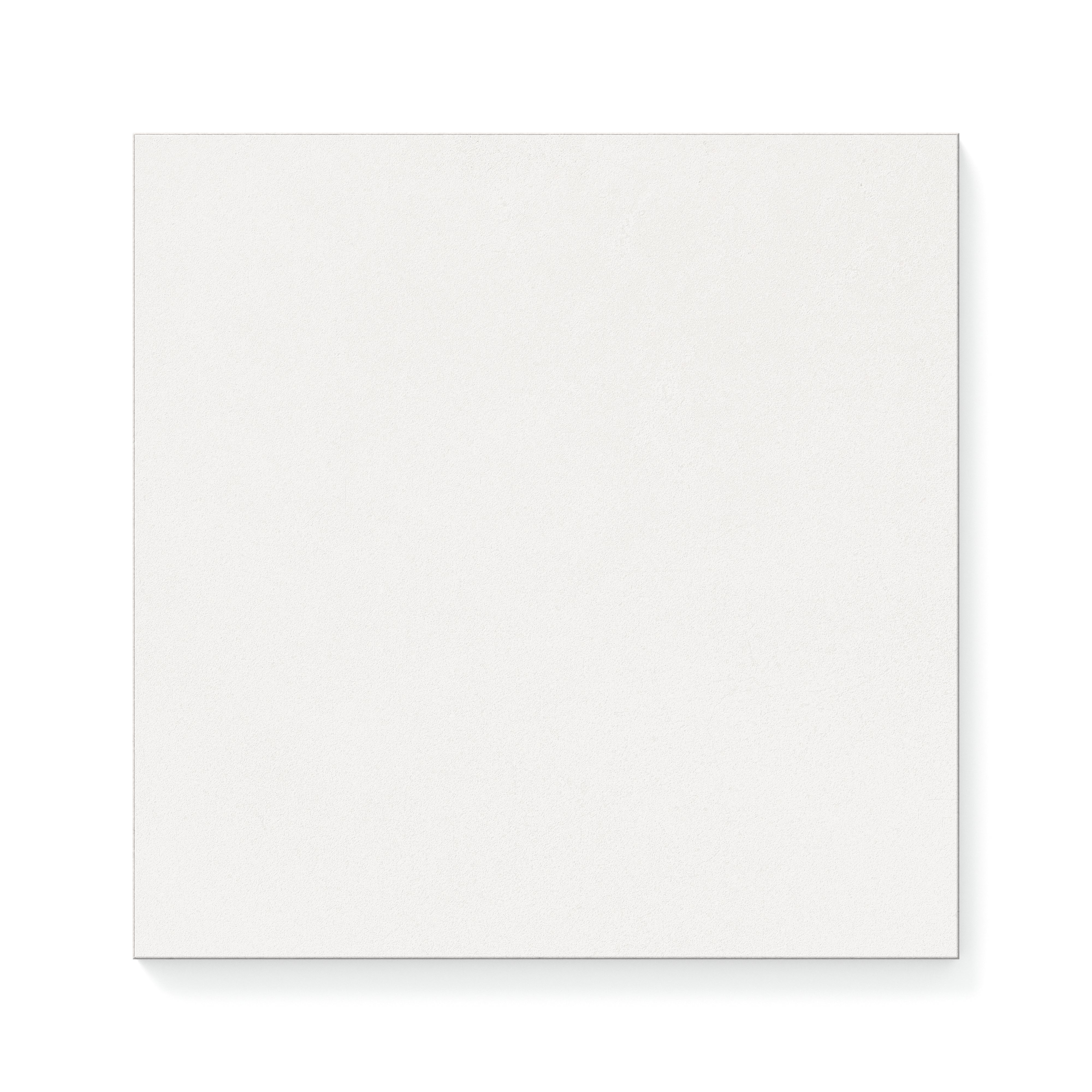 Palmer 12x12 Matte Porcelain Tile in White