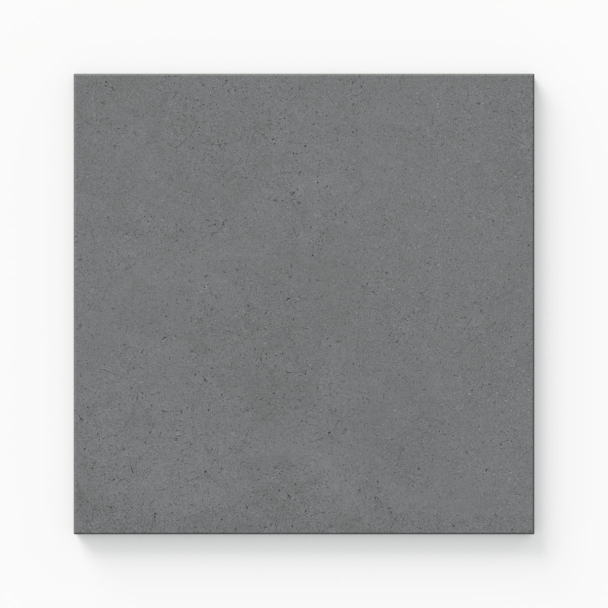 Palmer 12x12 Matte Porcelain Tile in Grey