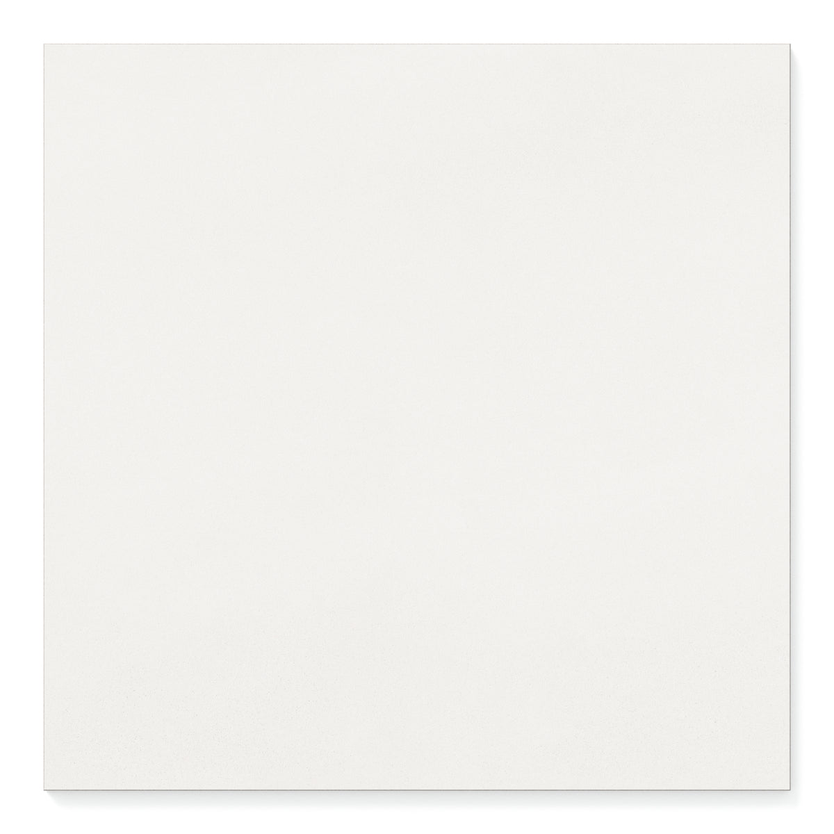 Palmer 24x24 Matte Porcelain Tile in White