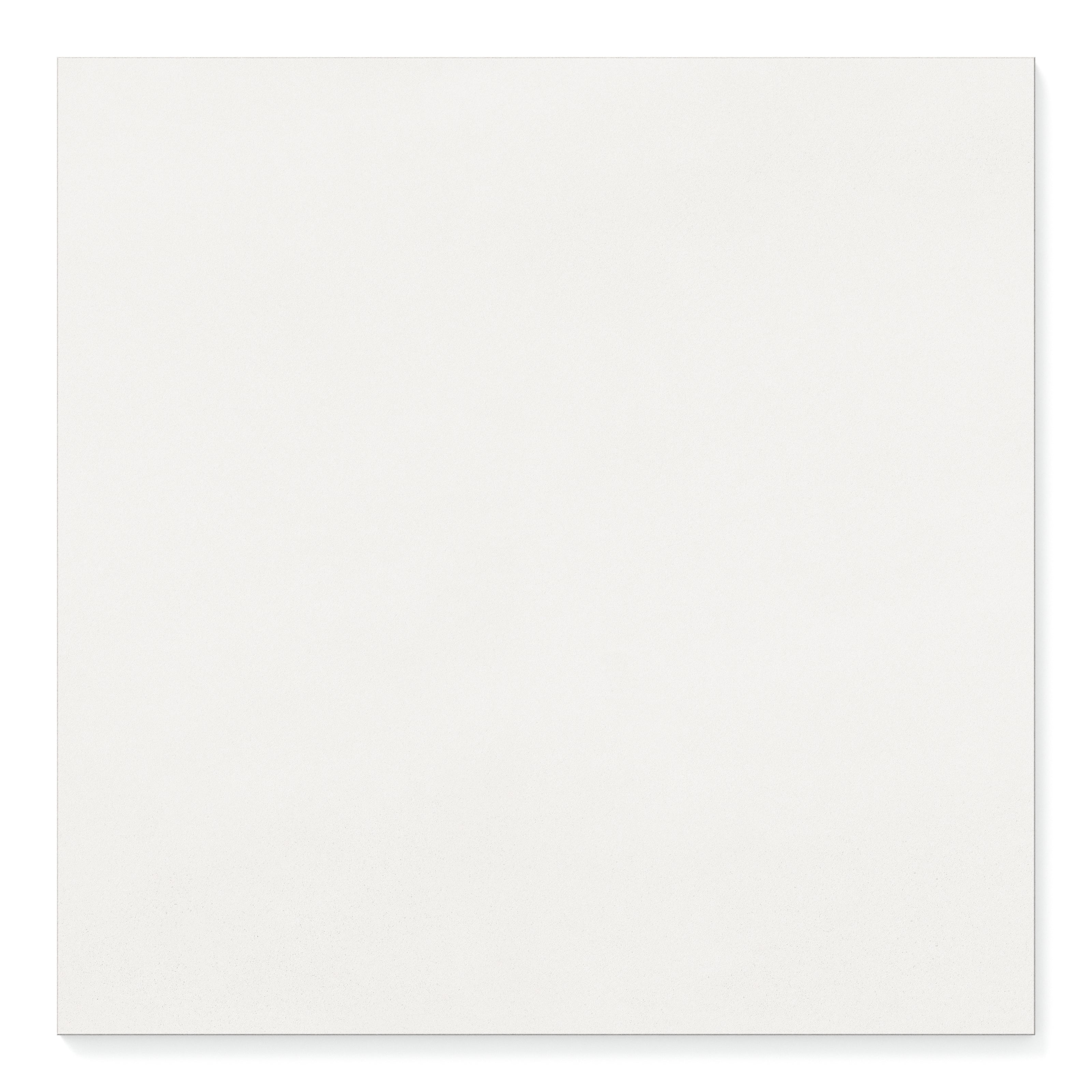 Palmer 24x24 Matte Porcelain Tile in White