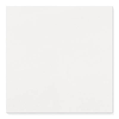 Palmer 24x24 Matte Porcelain Tile in White