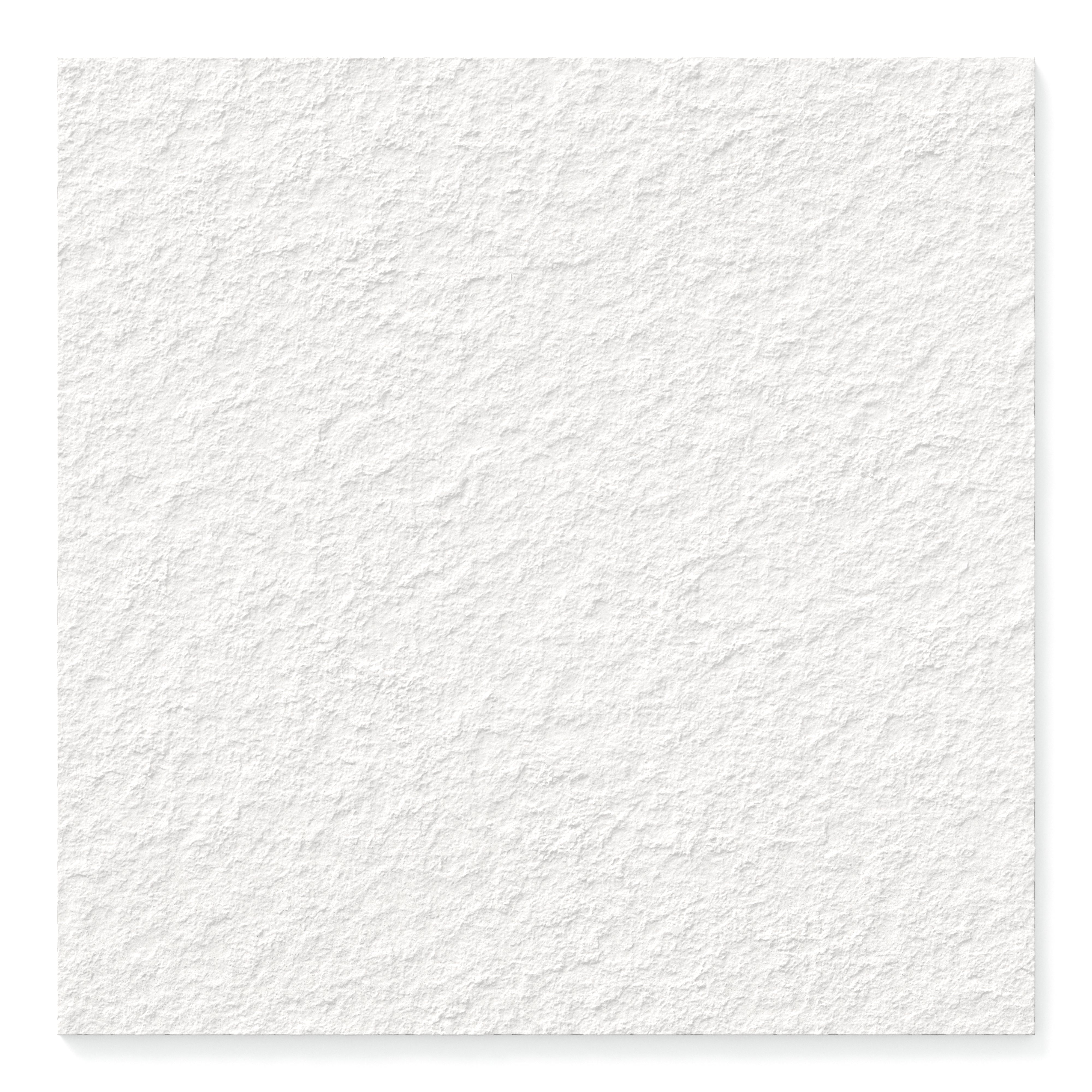 Palmer 24x24 Raw Porcelain Tile in White