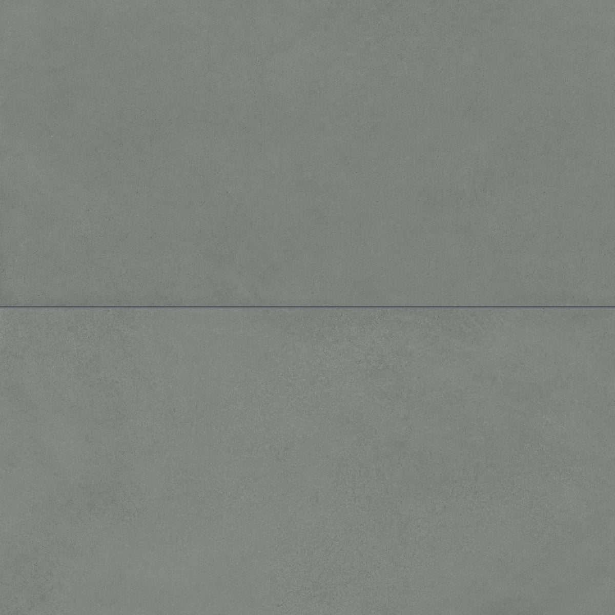 Palmer 24x48 Matte Porcelain Tile in Sage