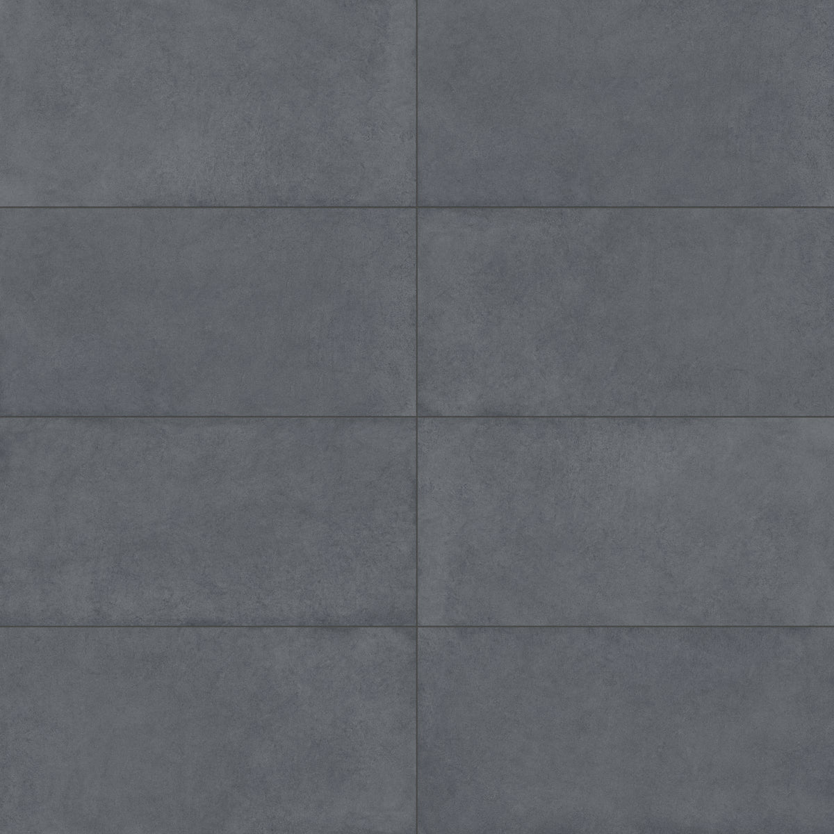 Palmer 24x48 Matte Porcelain Tile in Blue