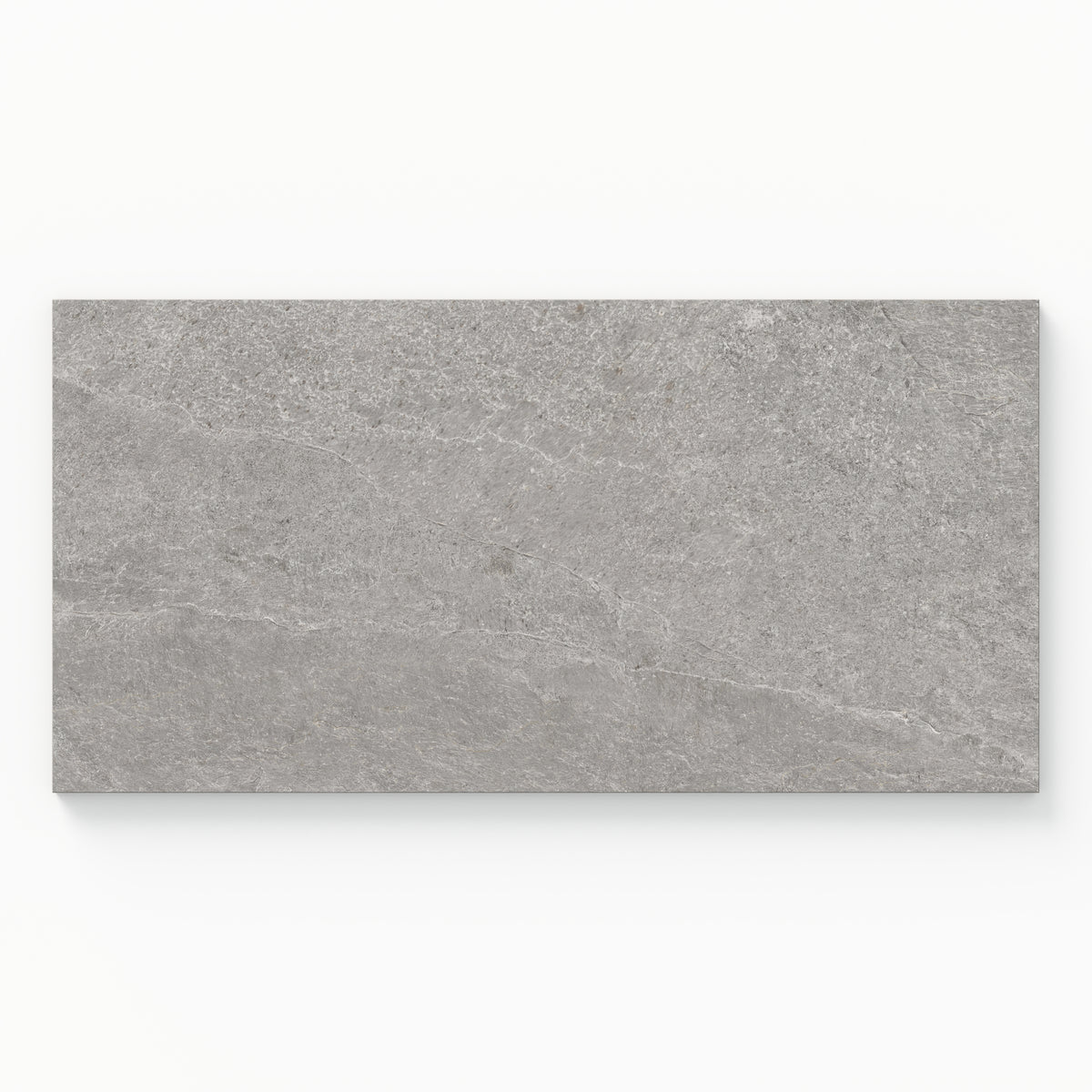Dawson 24x48 Matte Porcelain Tile in Ash