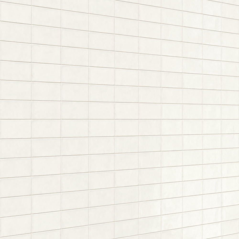 Mikayla 2.5x5 Glossy Ceramic Tile in Eggshell