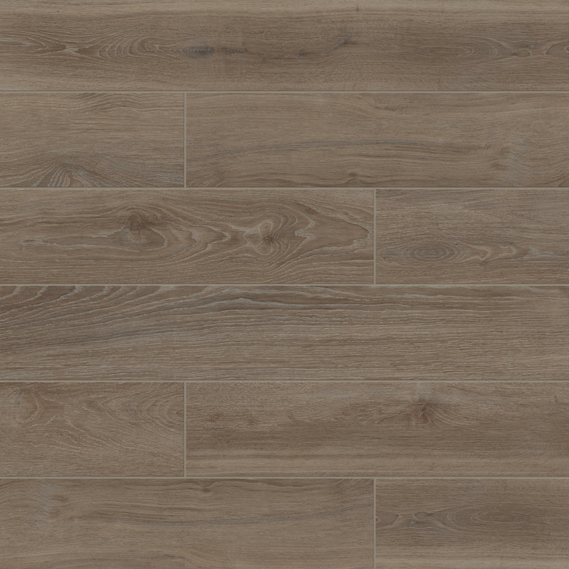 Jameson 8x48 Matte Porcelain Tile in Umber
