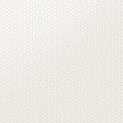 Ollie 3/4x3/4 Matte Porcelain Mosaic Penny Round Tile in White