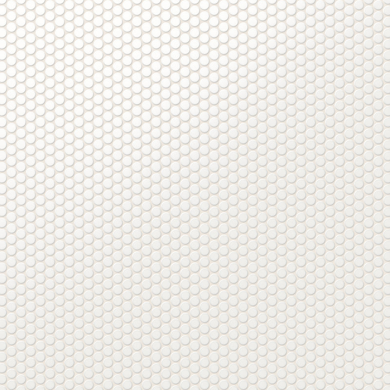 Ollie 3/4x3/4 Matte Porcelain Mosaic Penny Round Tile in White