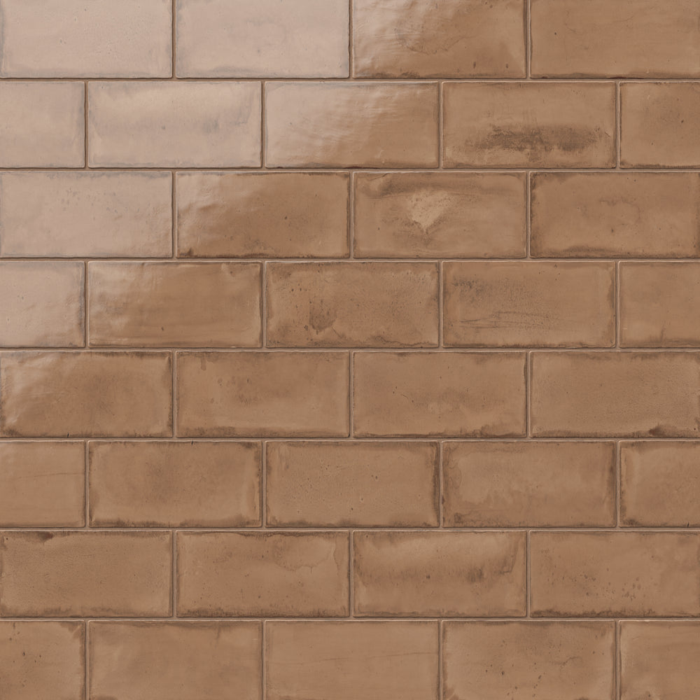 Graham 3x6 Glossy Ceramic Tile in Clay