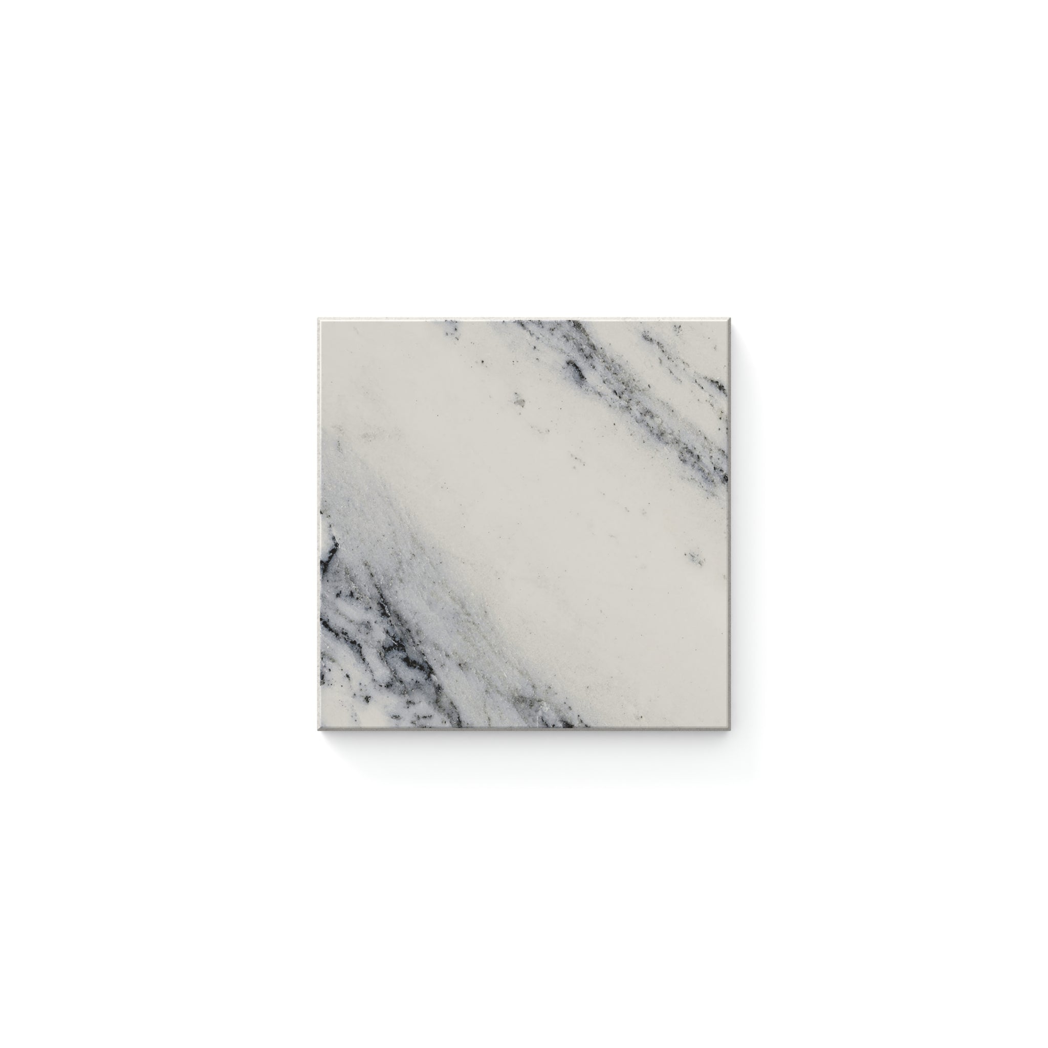 Aniston Matte Calacatta Antico 4x4 Tile Sample